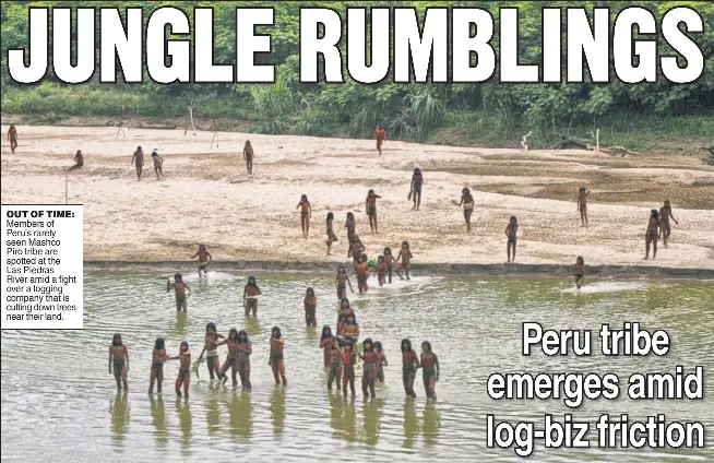 JUNGLE RUMBLINGS - PressReader