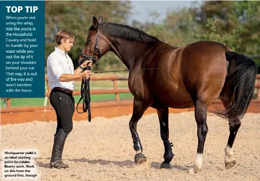 INTRODUCIN­G RIDDEN CUES - PressReader