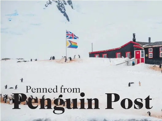 Penned from Penguin Post Office - PressReader