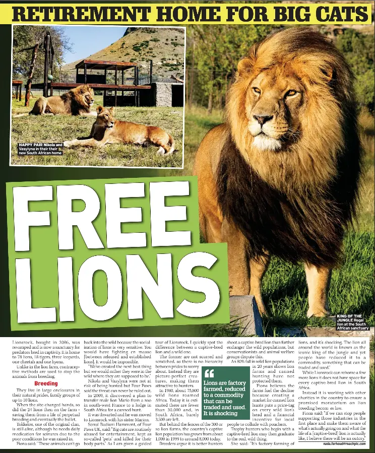 FREE LIONS - PressReader