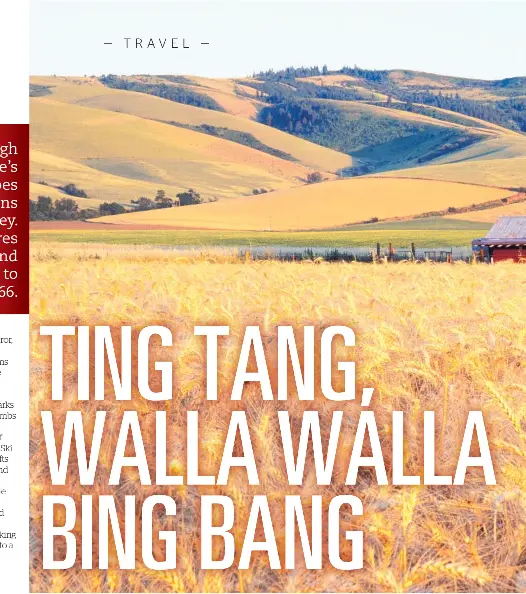 TING TANG, WALLA WALLA BING BANG - PressReader