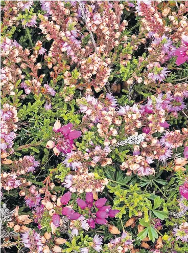 Paisley Colour Photograph­ic Club - PressReader