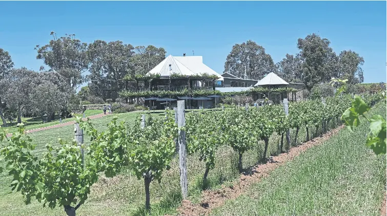 Planet of the grapes - PressReader