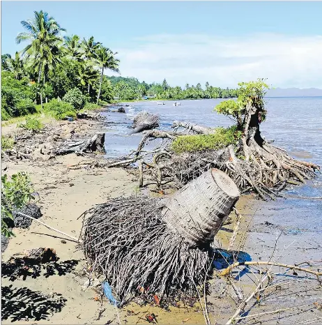 Climate change crisis - PressReader