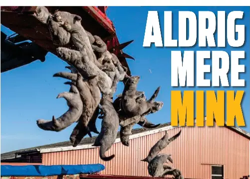 ALDRIG MERE MINK - PressReader