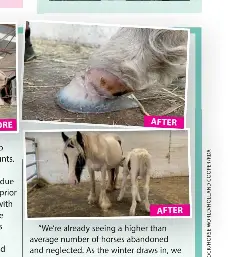 RESCUE UPDATE - PressReader