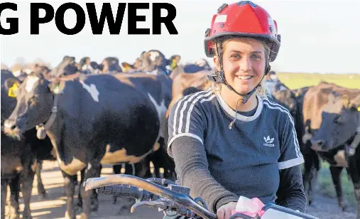 STAYING POWER - PressReader