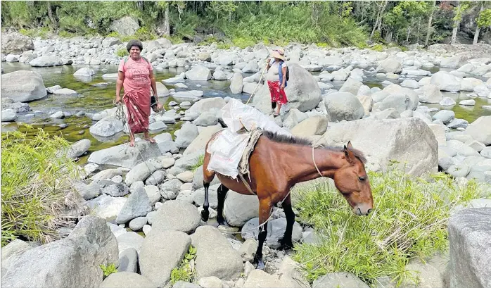 Grants to drive change - PressReader