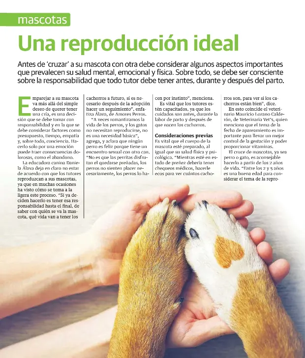 Una reproducci­ón ideal - PressReader