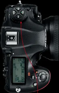 Nikon D850 in detail - PressReader