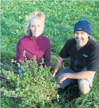 Pasture reset boosts beef operation - PressReader