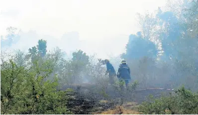 Hanover impacted by increase in bushfires - PressReader