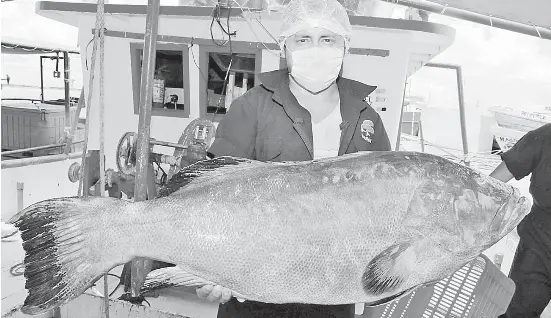 CUATRO DE CADA 10 ESPECIES - PressReader