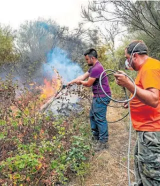 León contra las llamas: «Esto se muere y no hay forma de hacer nada» - PressReader
