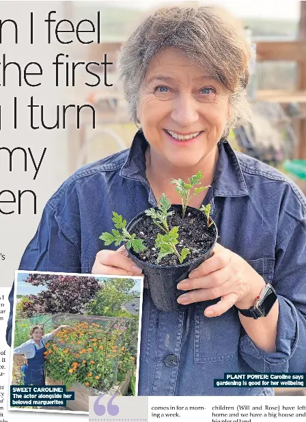 How much has gardening benefitted your mental health? - PressReader