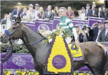 Unbeaten Flightline retires, will begin breeding career - PressReader