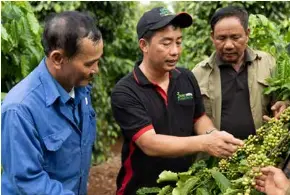 Sustainabl­e developmen­t – an indispensa­ble direction for businesses - PressReader