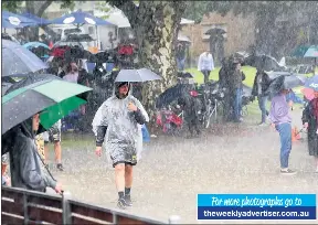 Window of opportunit­y a winner - PressReader