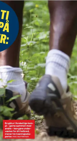 SÅDAN GÅR DU DIG SLANK - PressReader