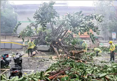 Biggest storm in decades claims one - PressReader