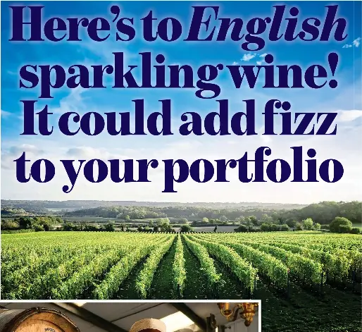 Here’s to English sparkling wine! It could add fizz to your portfolio - PressReader