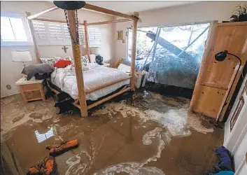 Will insurance cover damage? - PressReader