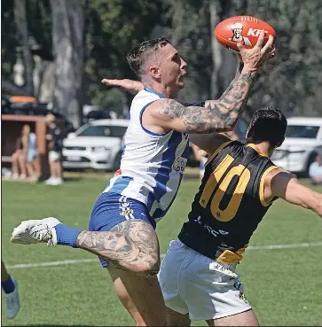 “Great”, “magic” to see Roos back - PressReader