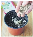 ASK DIARMUID - PressReader