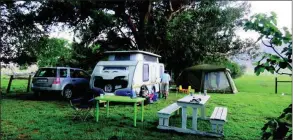 Happy campers - PressReader