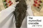 HOW LAST MEAL KILLED 3,000-YEAR-OLD CROC - PressReader