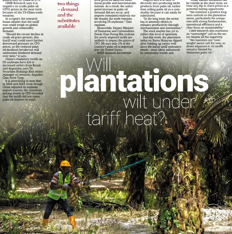 Will plantation­s wilt under tariff heat? - PressReader