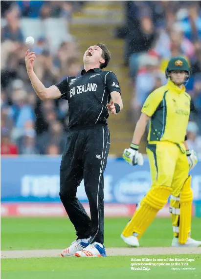 Black Caps target T20 cup - PressReader