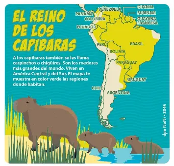 Capibaras: Los roedores más grandes del mundo - PressReader