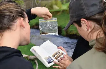 Communitie­s taking charge thanks to citizen science tools - PressReader