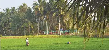 Sustaining our earth and nourishing our bodies - PressReader