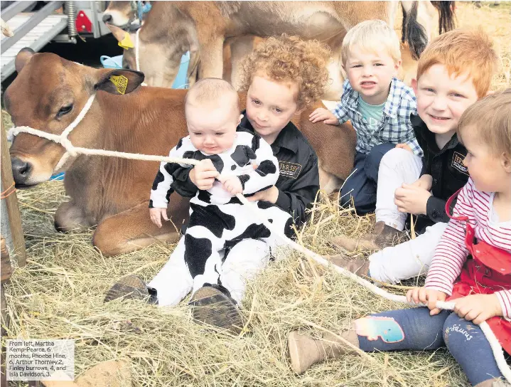 ASHBOURNE SHOW SPECIAL 2019 - PressReader