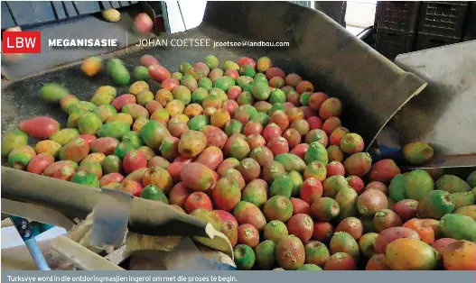 Groter turksvywin­s met Italiaanse doring van ’n masjien - PressReader