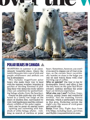 POLAR BEARS IN CANADA - PressReader