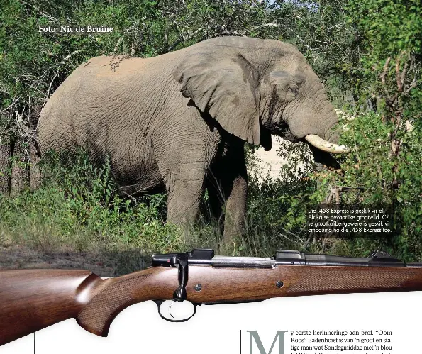 .458 Express – perfek vir Afrika - PressReader