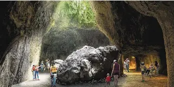 New S’pore wildlife park to feature one of world’s rarest monkeys ...