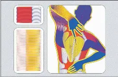 Why ‘unbalanced’ muscles can cause you more pain - PressReader