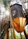 Builders branching out into grown-up treehouses - PressReader