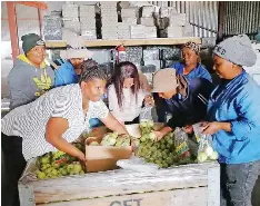 Garden Route farm shows fruits of its labour - PressReader