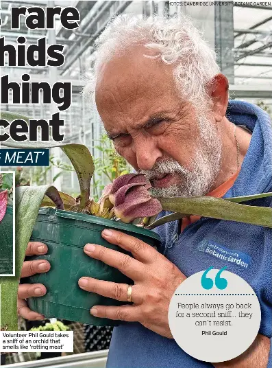 City garden’s rare blooming orchids that are anything but heaven scent - PressReader