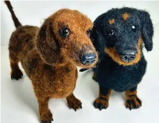 Pet project brings comfort - PressReader