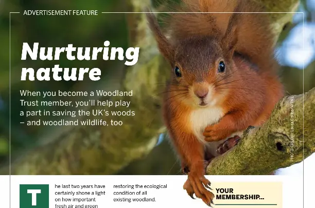 Nurturing nature - PressReader