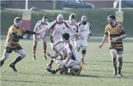 GEEHAN: SUNDERLAND PACK IS OUTSTANDIN­G - PressReader