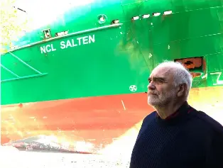 ‘It was so unreal’: Norwegian man wakes to cargo ship in his garden ...