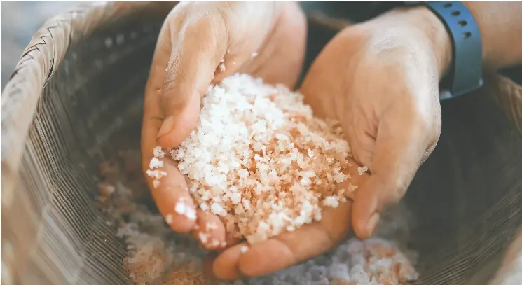 SALT of the EARTH - PressReader