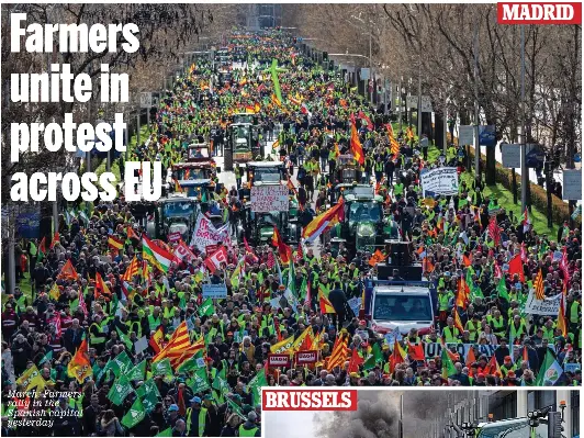 Farmers unite in protest across EU - PressReader